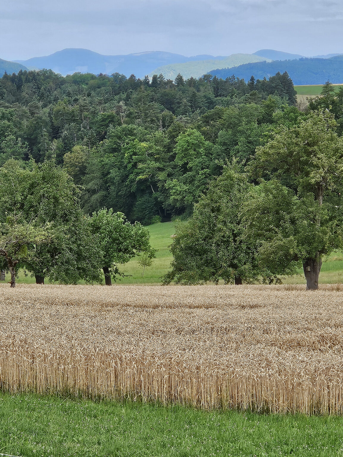 An in depth look at the Swiss end of life centre 'Pegasos' in Switzerland.
